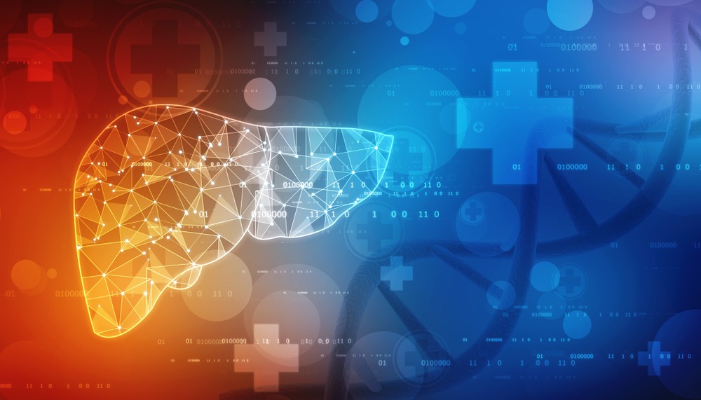 Types of Liver Cancer | Immunity Therapy Center